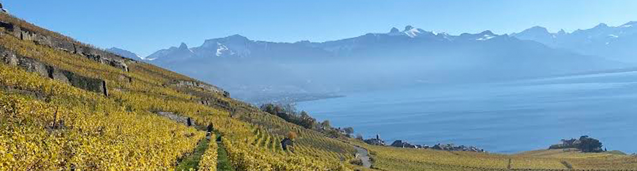 Community Content: Meet Anastasiia Rubio: A Q&A with Our Connext 2024 Virtual Presenter